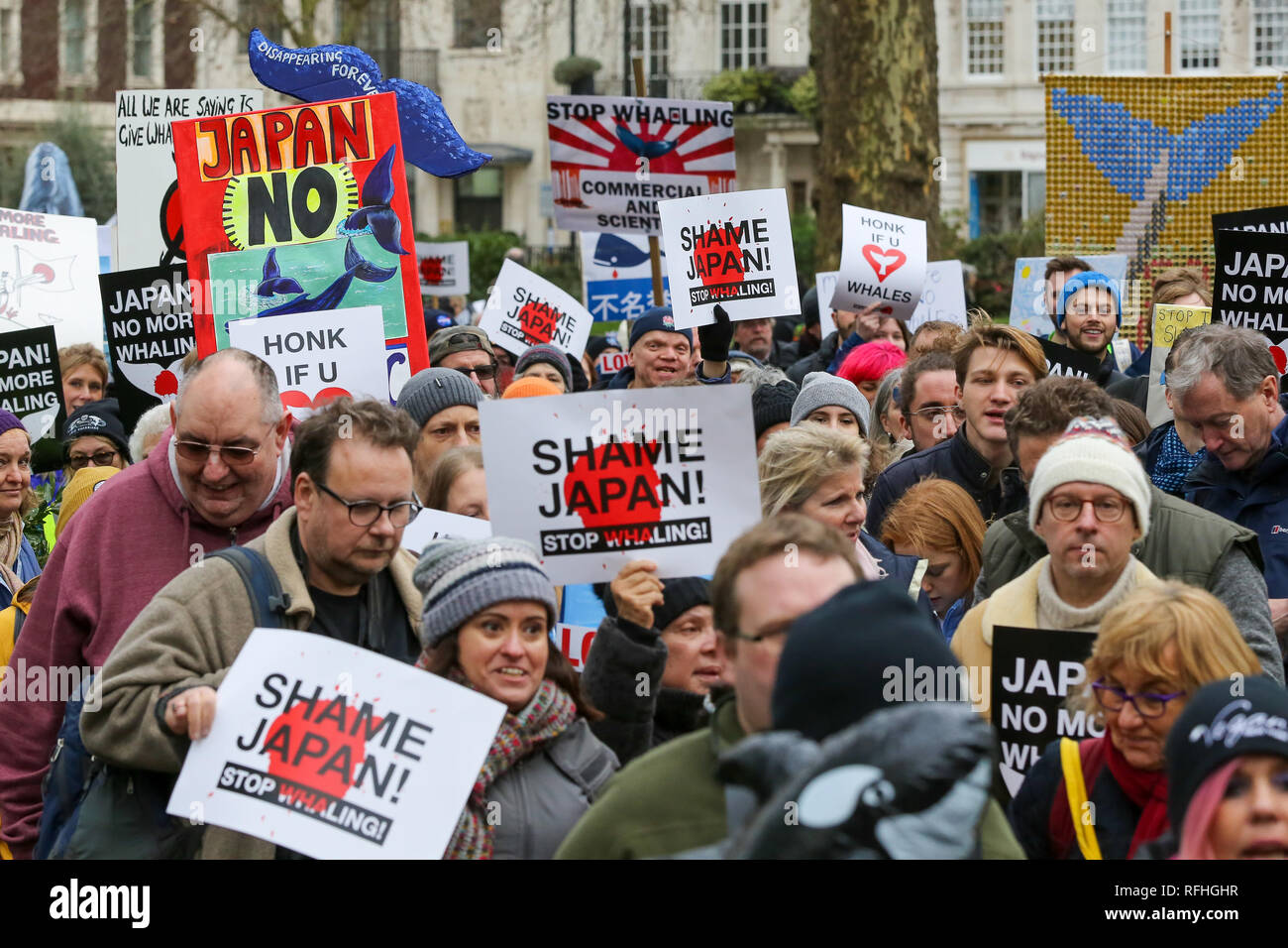 Anti whaling protest hi-res stock photography and images - Alamy