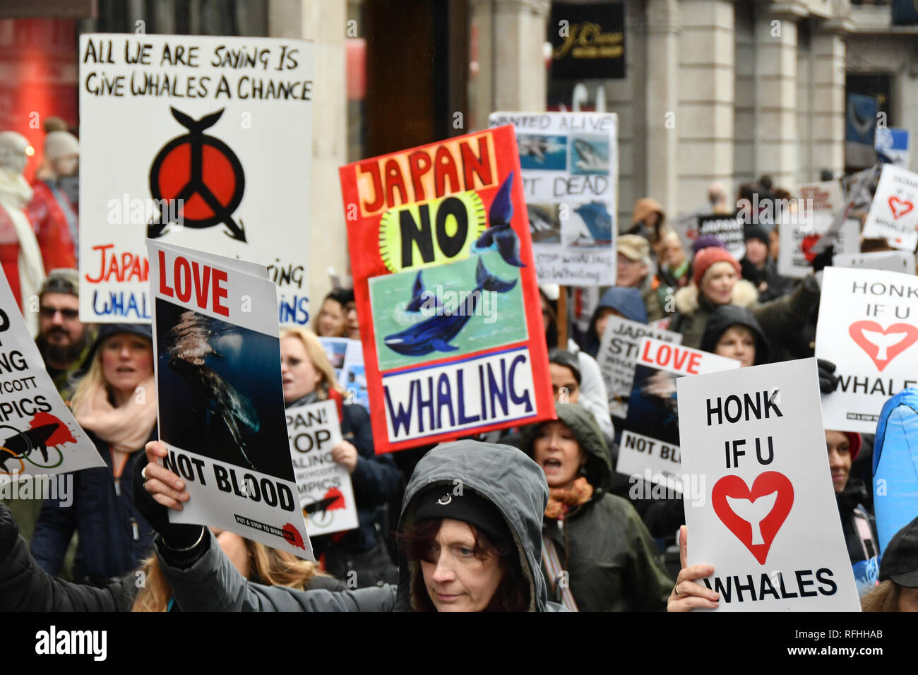 Stop killing our whales hi-res stock photography and images - Alamy