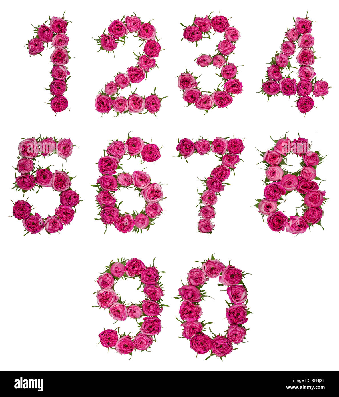 Set of arabic numbers from natural red flowers of roses, isolated on ...