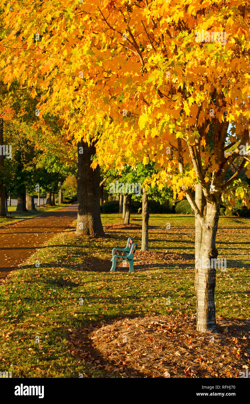 Spectacular Autumn Foliage Stock Photo - Alamy