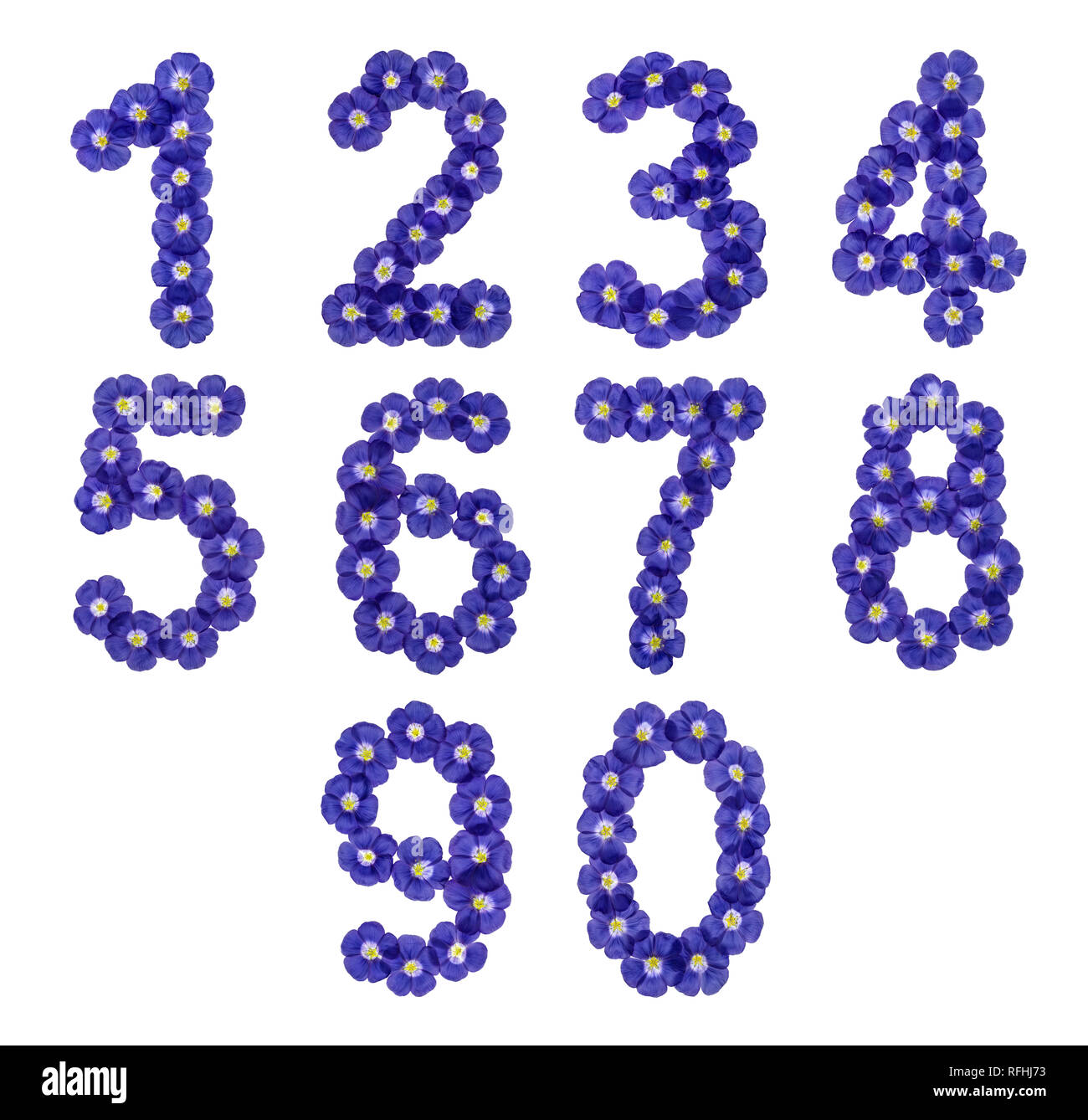 Set of arabic numbers, natural blue flowers of flax, isolated on white ...