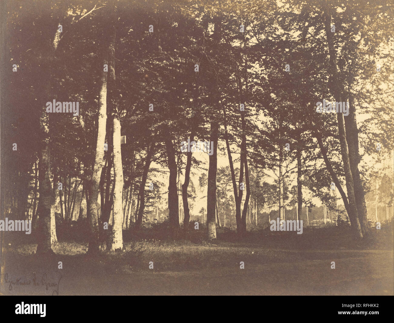 Calotype hi-res stock photography and images - Alamy