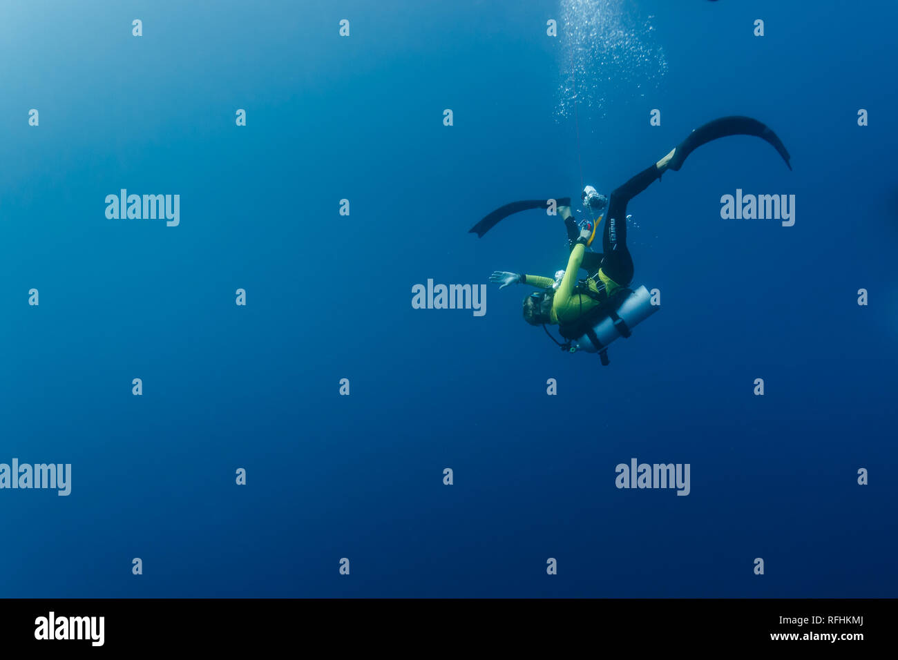 Scuba diver underwater research hi-res stock photography and images - Alamy