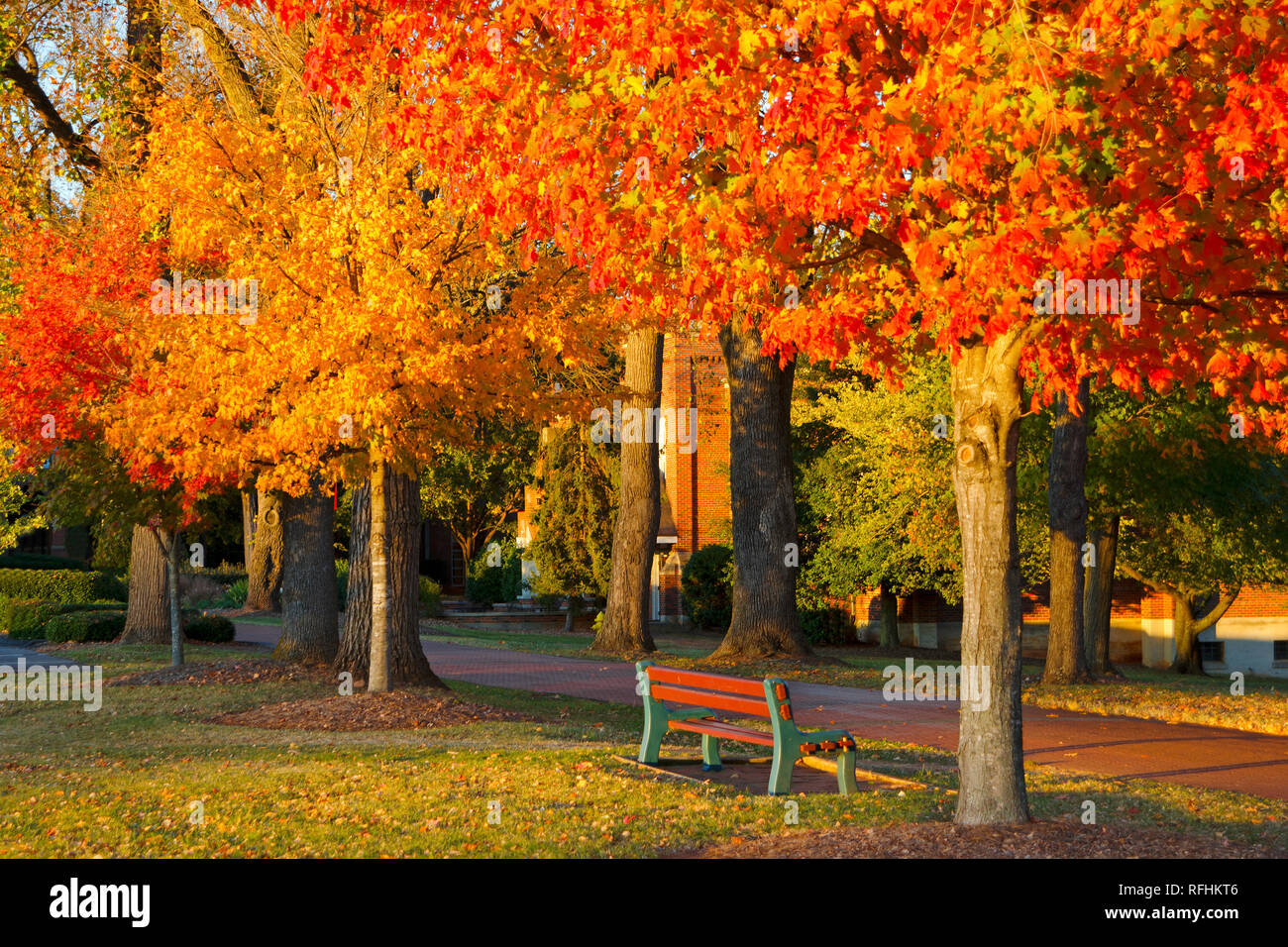 Spectacular Autumn Foliage Stock Photo - Alamy