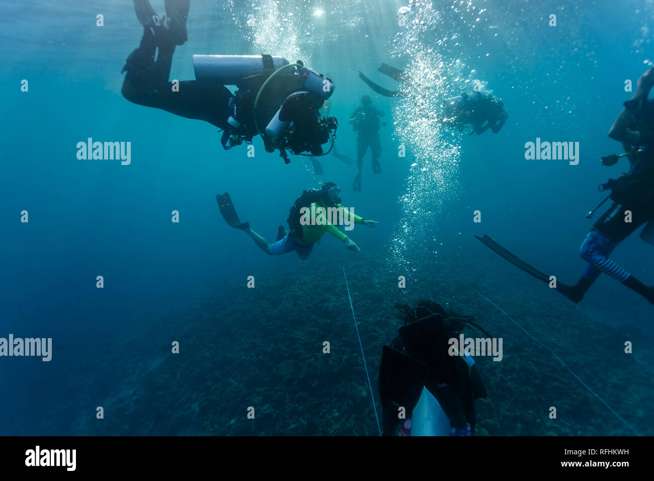 Transect reef hi-res stock photography and images - Alamy