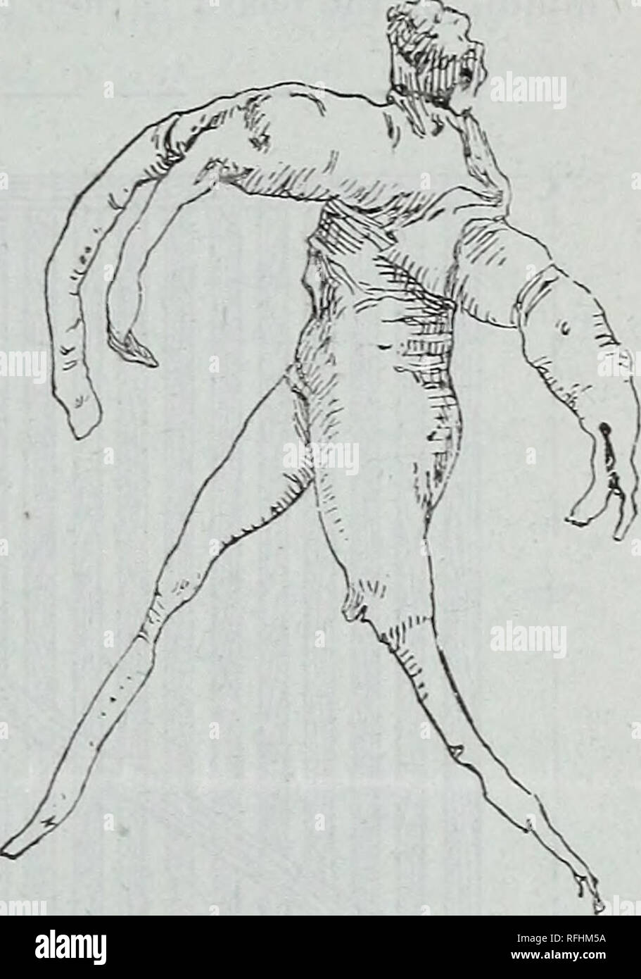 American ginseng root hi-res stock photography and images - Alamy