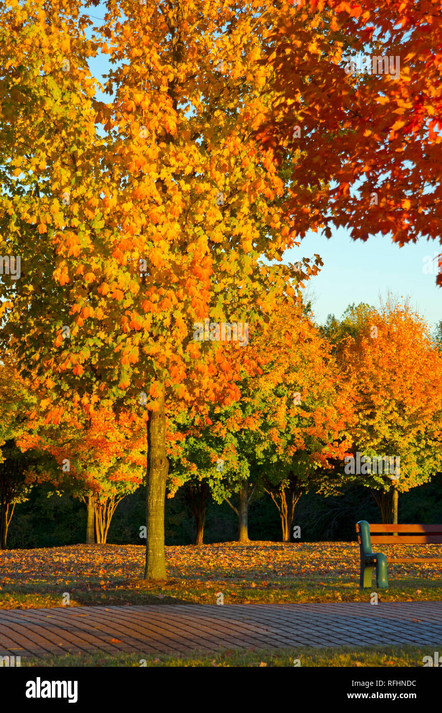 Spectacular Autumn Foliage Stock Photo - Alamy