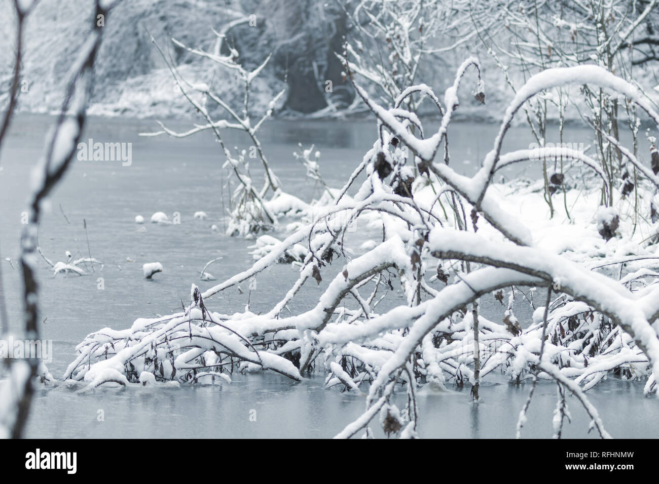Frozen lake in winter, Winter lake scene Stock Photo - Alamy