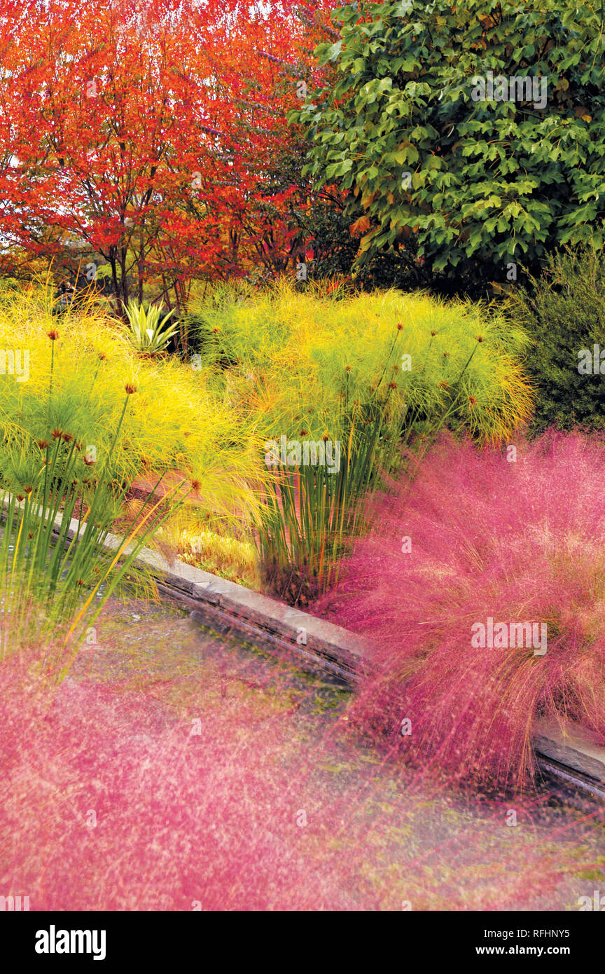 Spectacular Autumn Foliage Stock Photo - Alamy