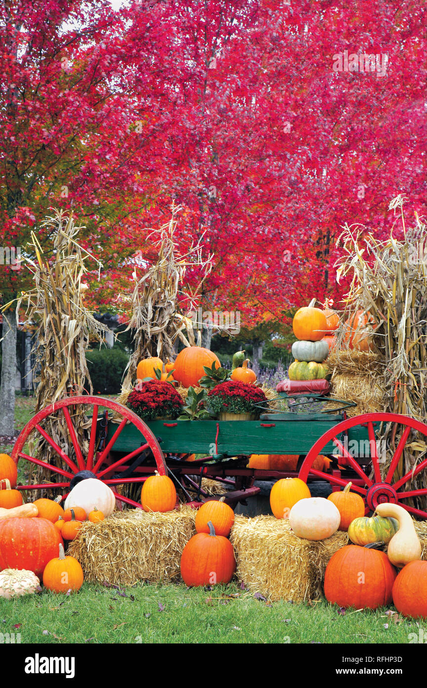 Spectacular Autumn Foliage Stock Photo - Alamy