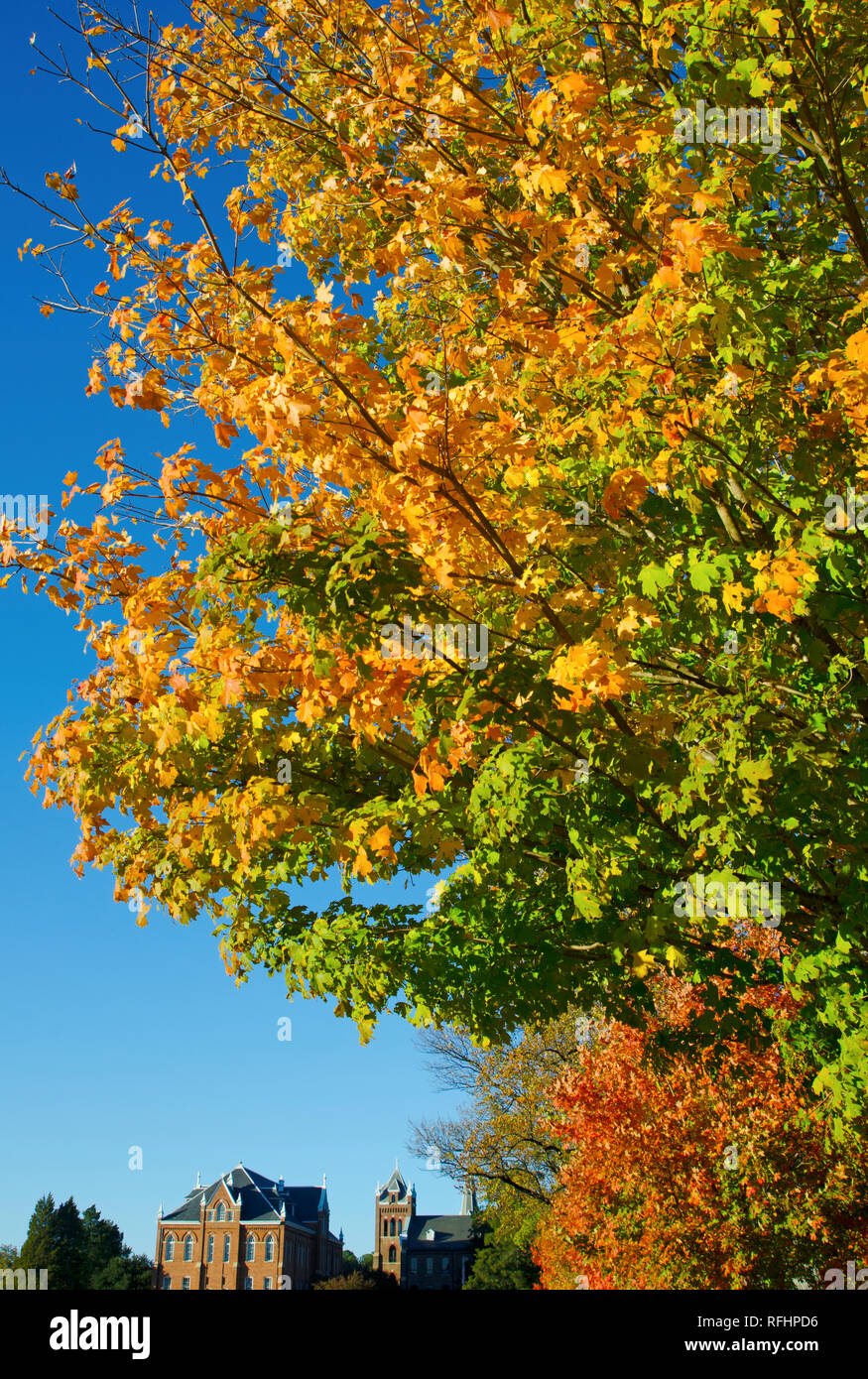 Spectacular Autumn Foliage Stock Photo - Alamy