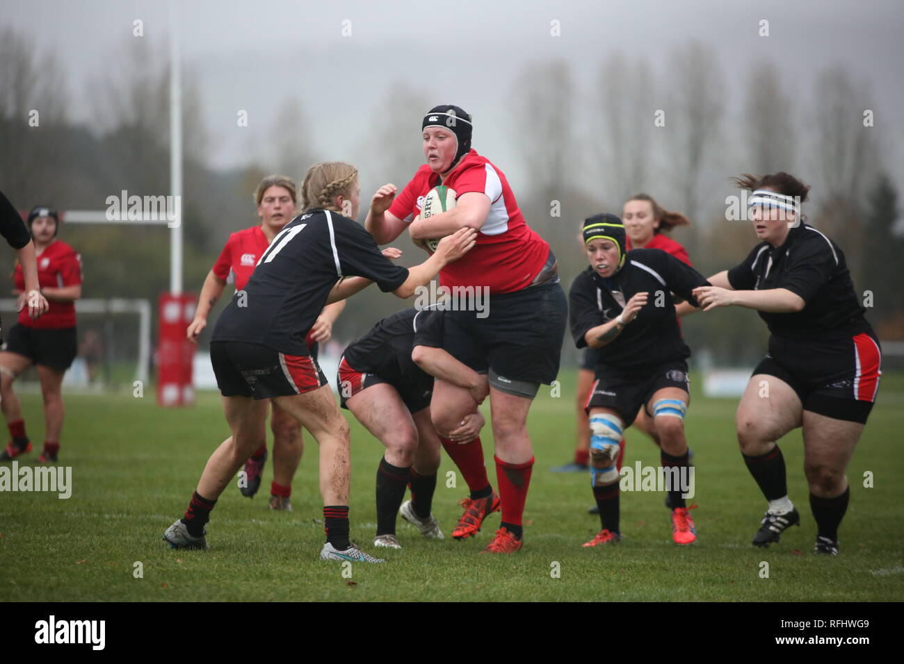 Welsh rugby women hi-res stock photography and images - Alamy
