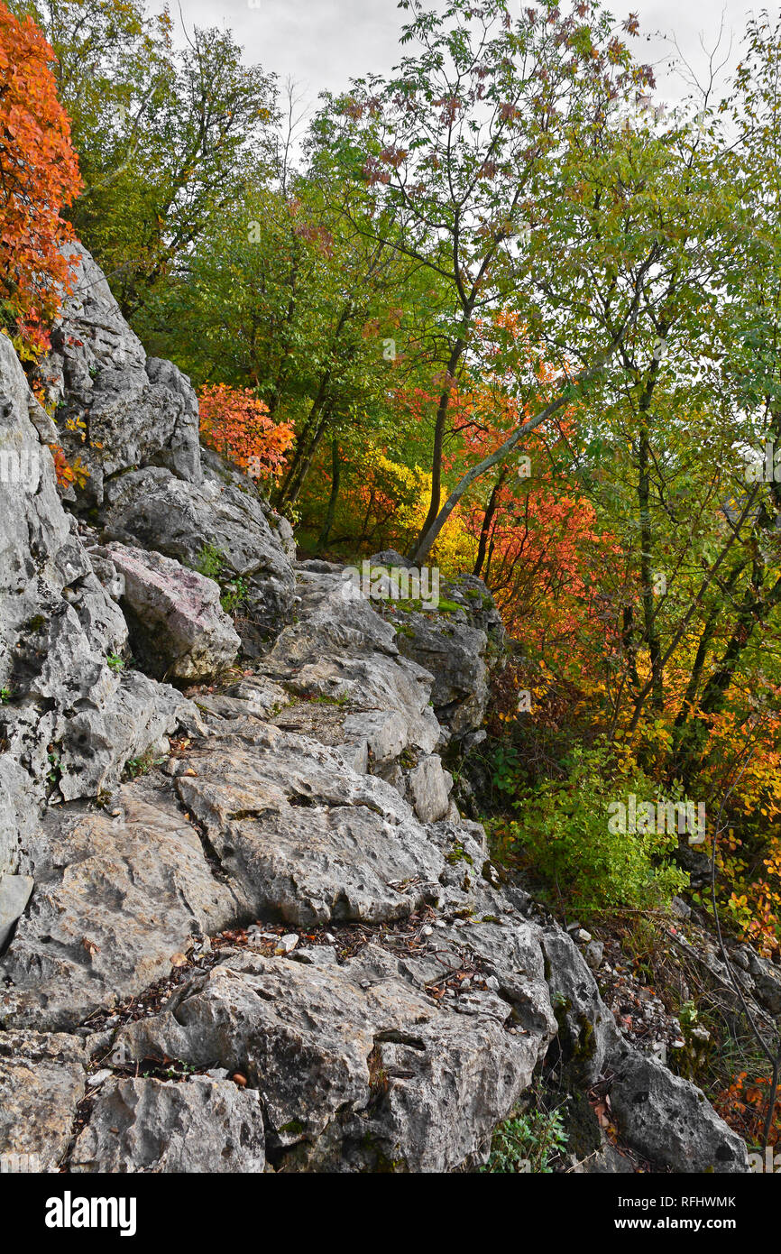 Doberdo scene hi-res stock photography and images - Alamy