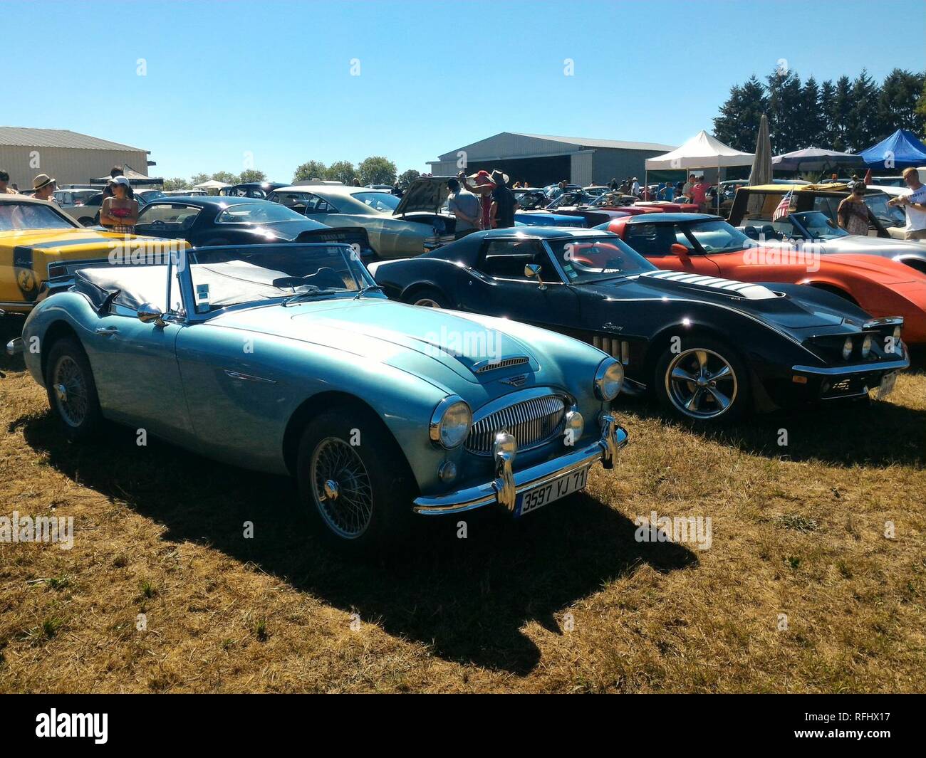 Austin Healey 3000 & Chevrolet Corvette Stingray (24861040097 Stock ...