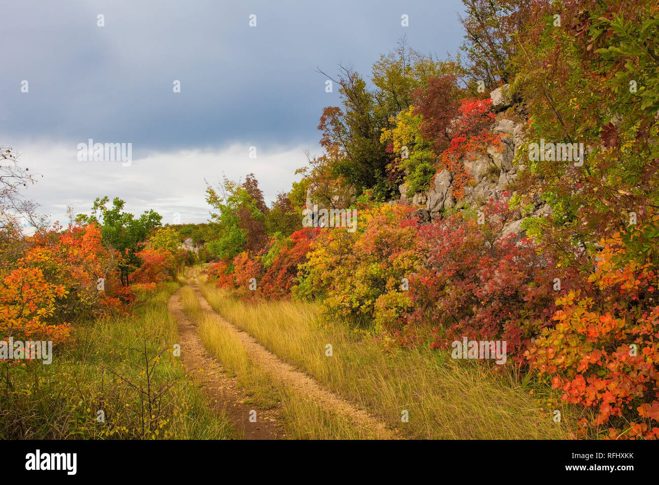 Doberdo scene hi-res stock photography and images - Alamy