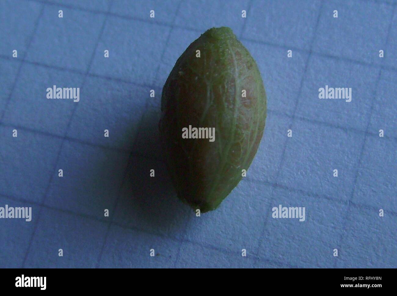 Amunt hi-res stock photography and images - Alamy