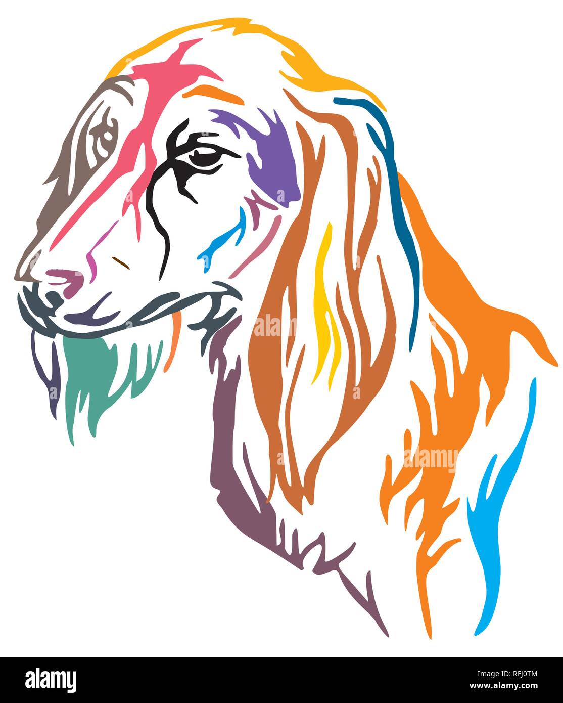Saluki vector Stock Vector Images - Alamy