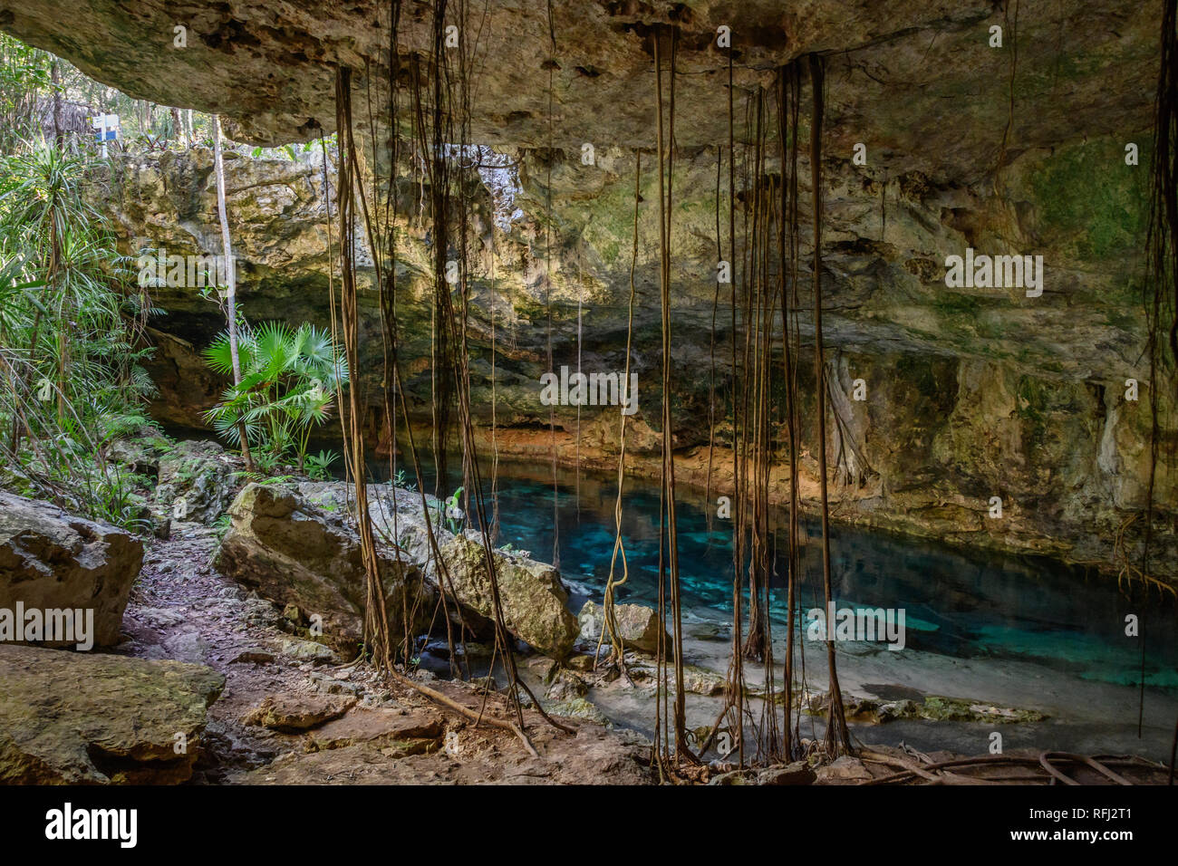 Chikin-Ha Cenote and underground river; Riviera Maya, Yucatan Peninsula ...