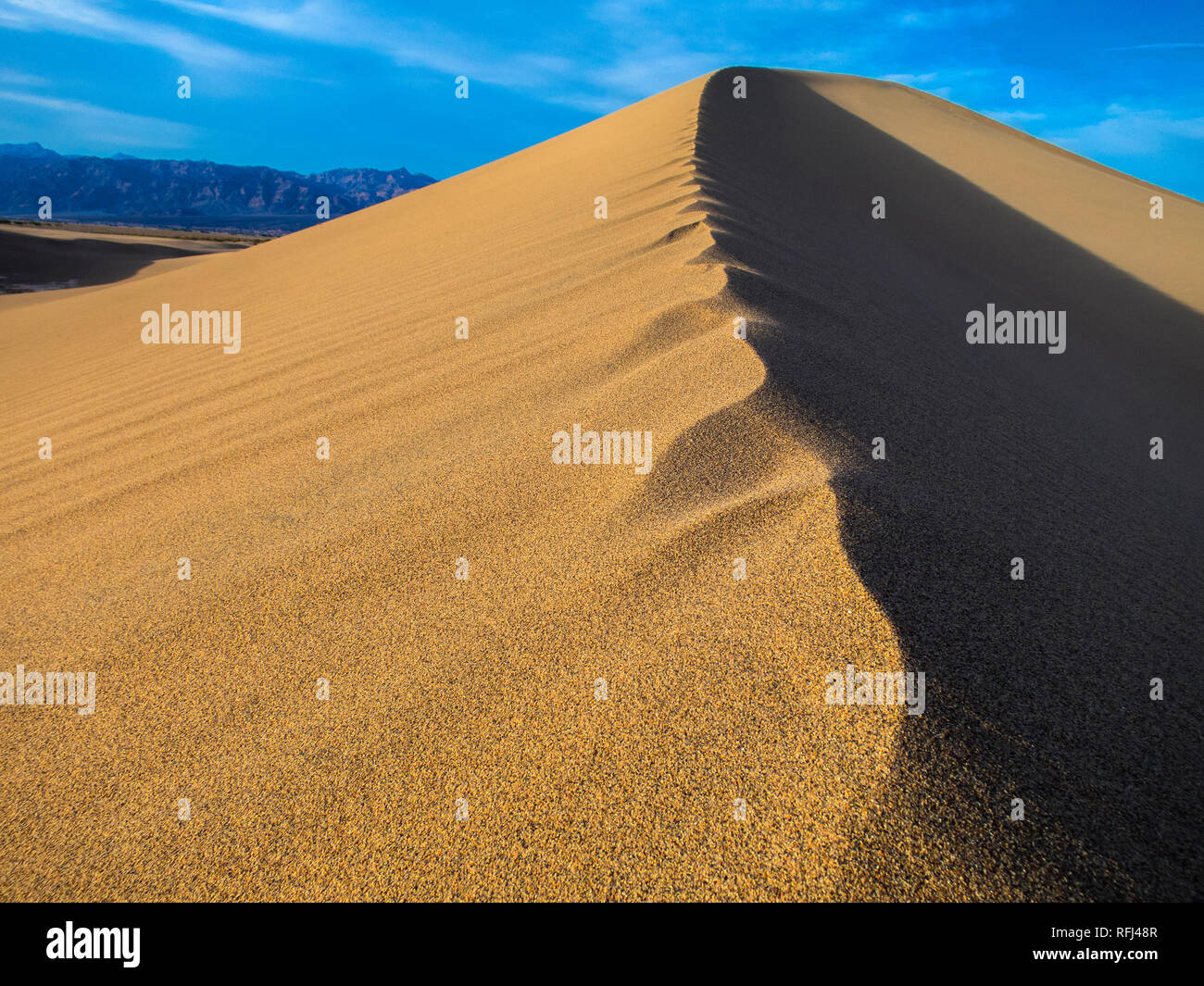 Death of a sand dune hi-res stock photography and images - Alamy
