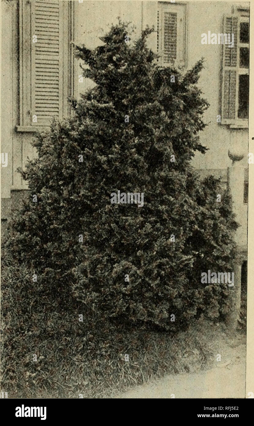 Piwe hi-res stock photography and images - Alamy