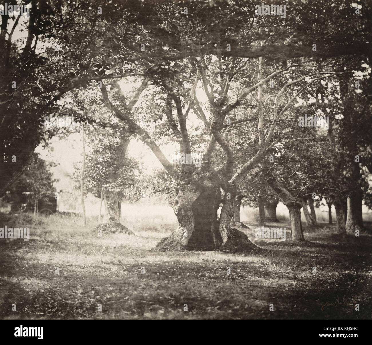 Houston mount hi-res stock photography and images - Alamy