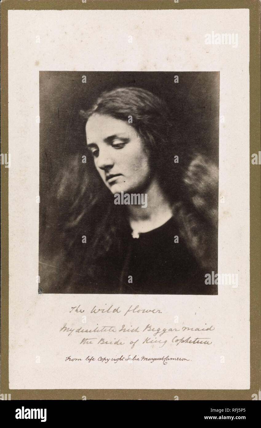 Julia cameron author hi-res stock photography and images - Alamy