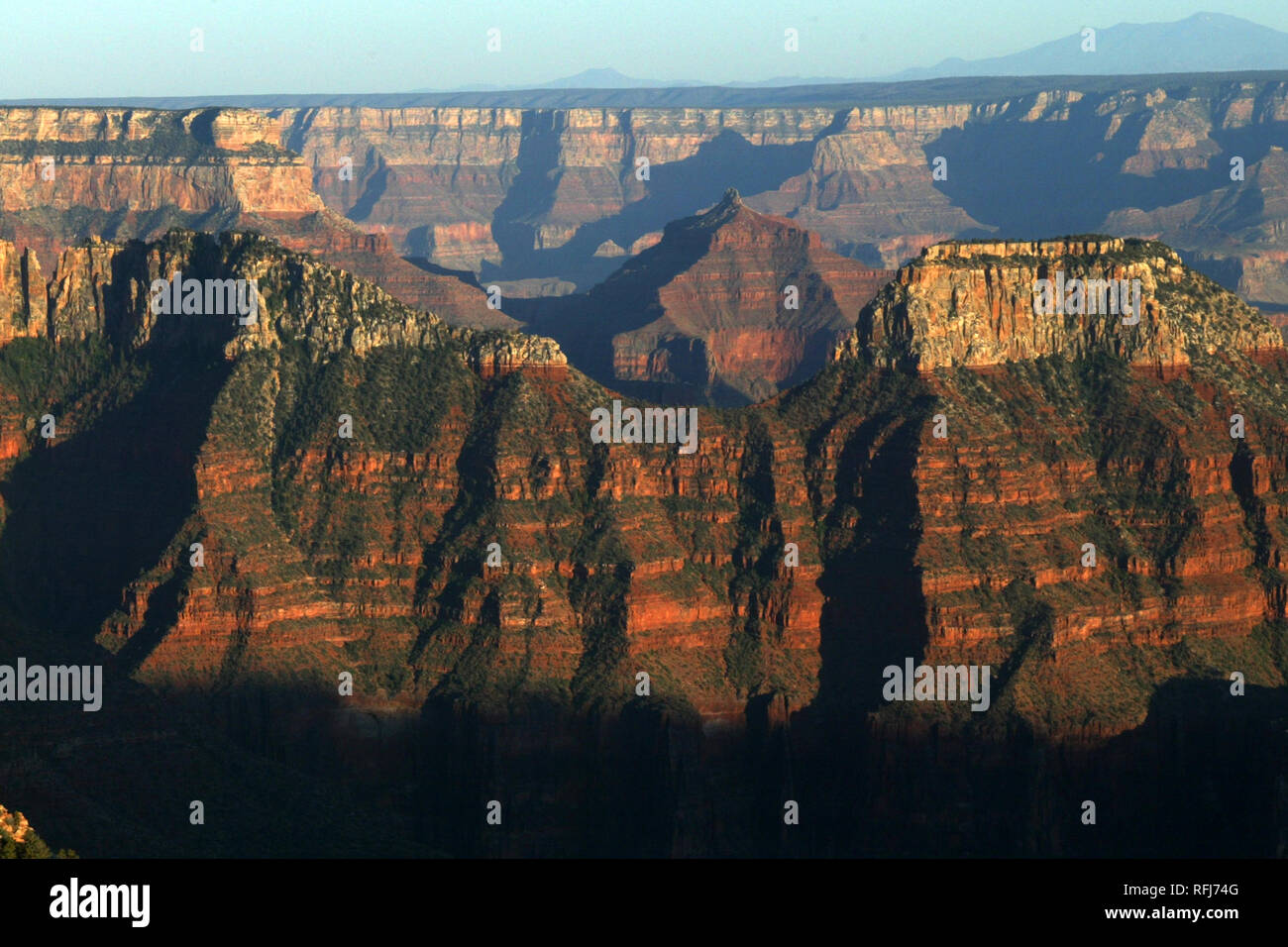 A view of the Grand Canyon’s north rim Stock Photo - Alamy
