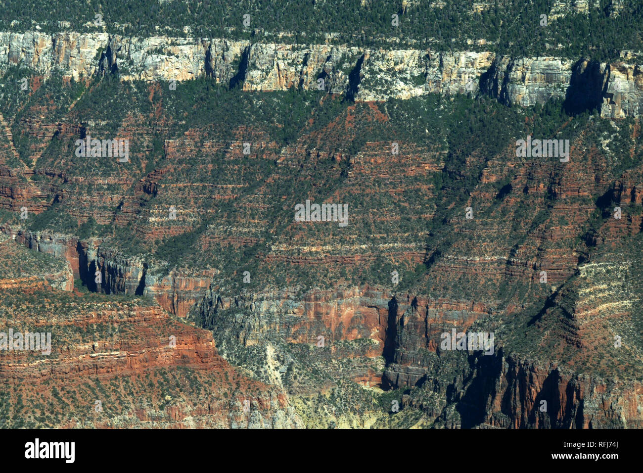 A view of the Grand Canyon’s north rim Stock Photo - Alamy