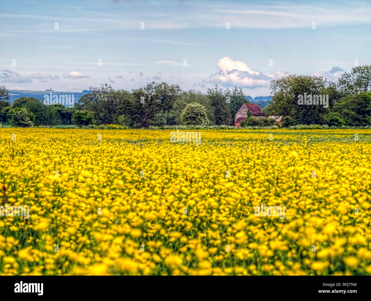 Fiddleford mill hi-res stock photography and images - Alamy