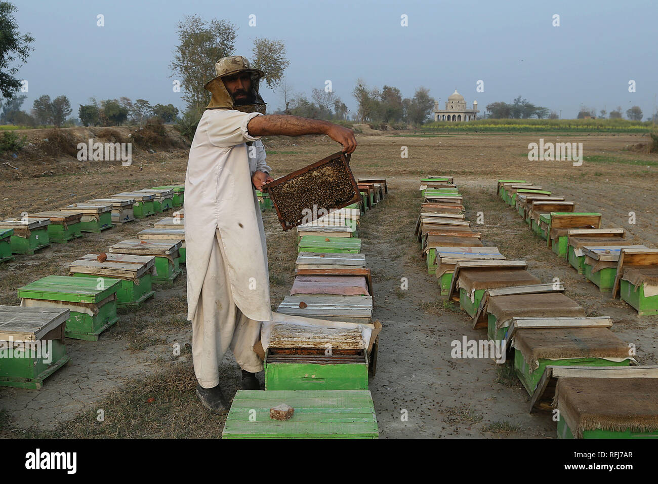 Beekeeper wearing protective gear checks a honeycomb at a bee farm suburb of Lahore. (Photo by ...