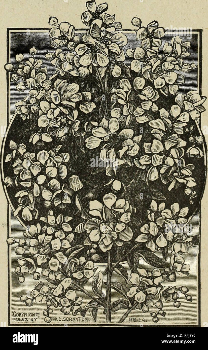 . Descriptive catalogue of fruit and ornamental trees, shrubs, vines ...