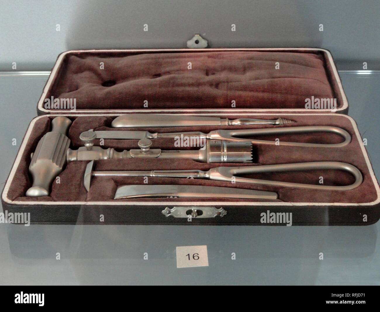 Autopsy instruments for nasal cavities and maxillary sinuses ...