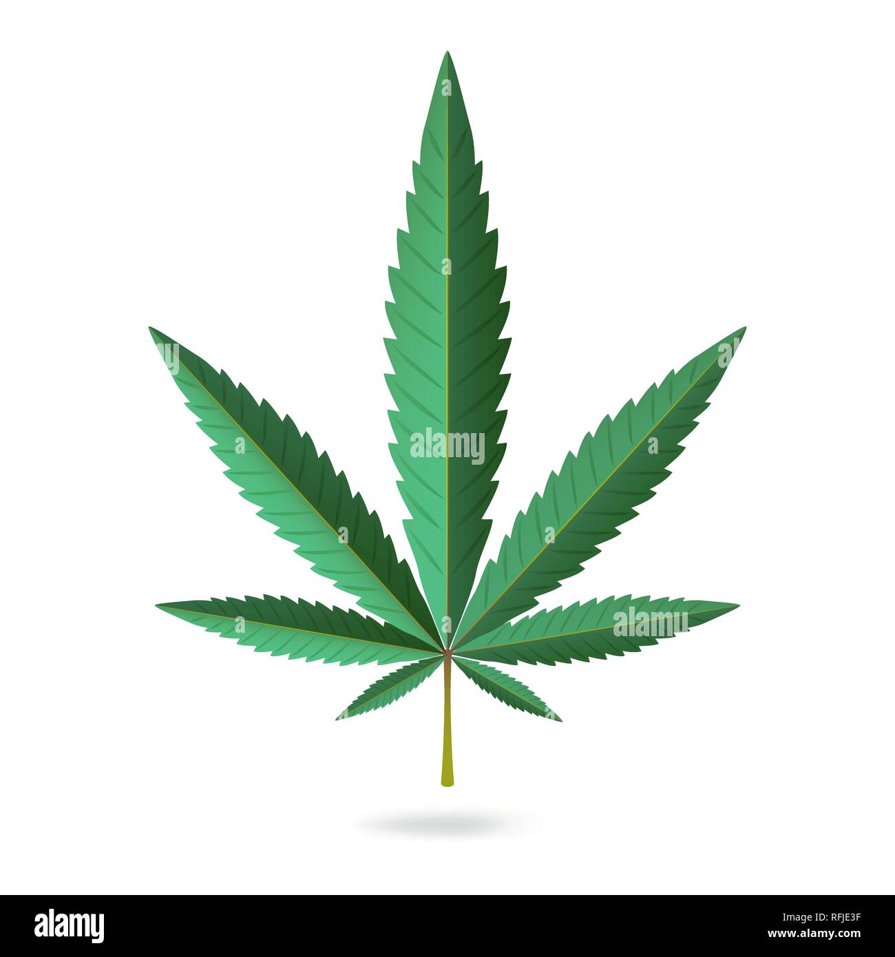 Cannabis leaves isolated on Stock Vector Images - Alamy
