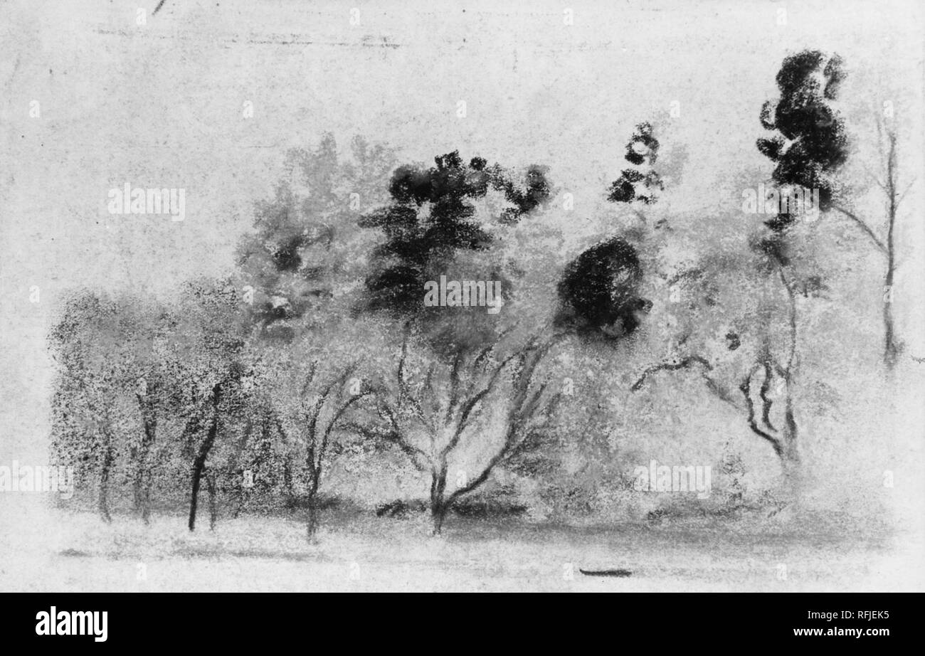 Autumn colors collection Black and White Stock Photos & Images - Alamy