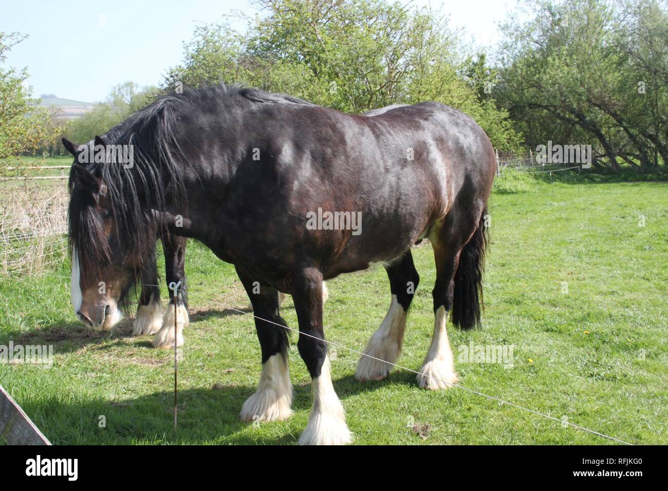 At the avon valley country park hi-res stock photography and images - Alamy