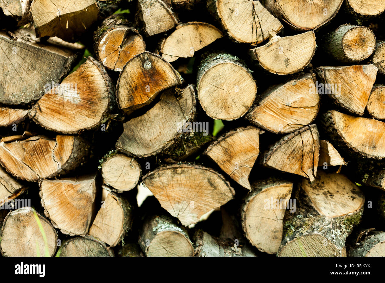 Chopped wood treetrunks hi-res stock photography and images - Alamy