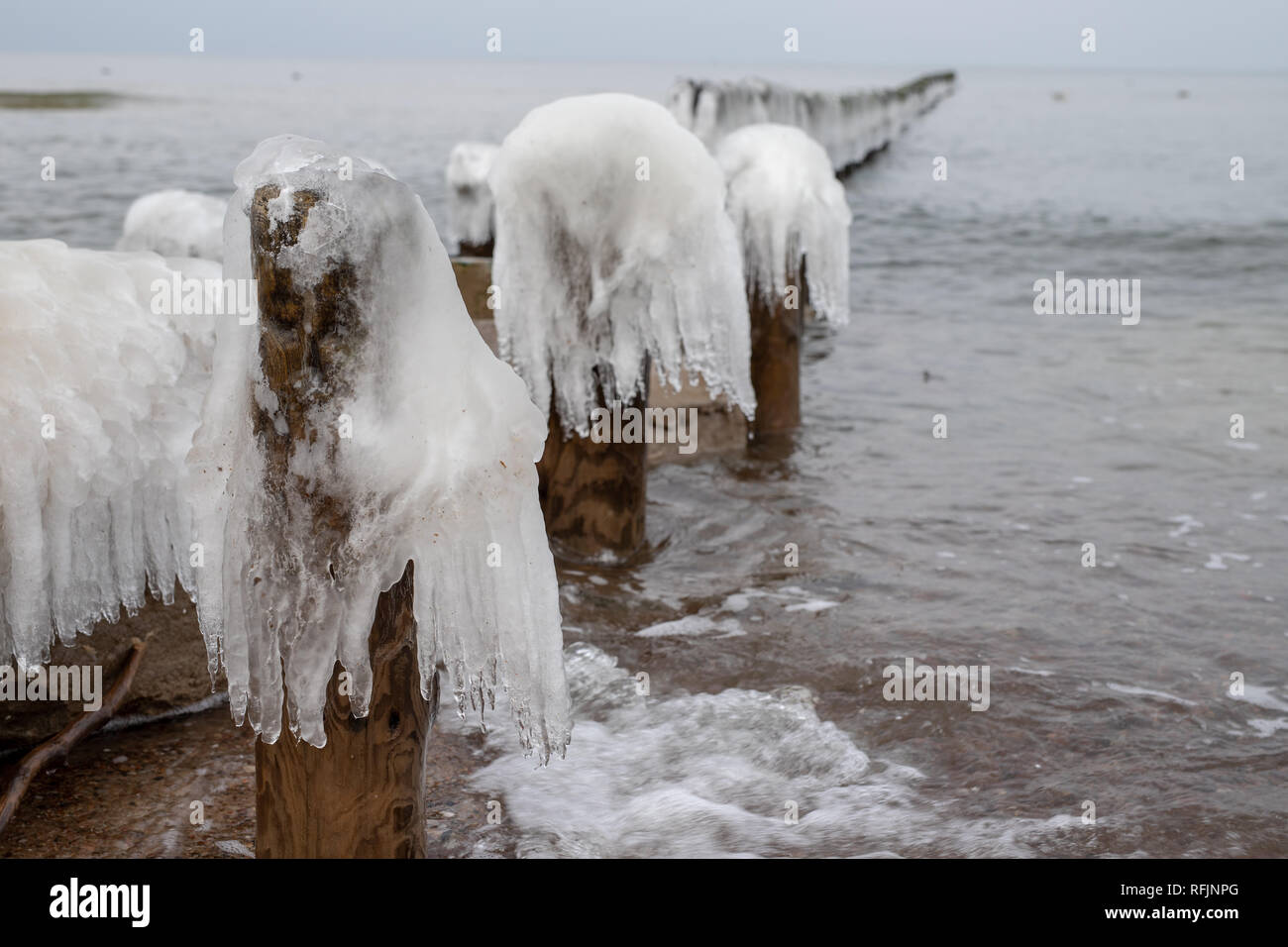 Frozen poles of breakwaters on the sea coast. Icy wooden poles. Season ...