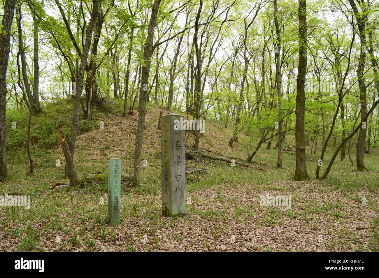 Azuma Kofun zenkei-2 Stock Photo - Alamy
