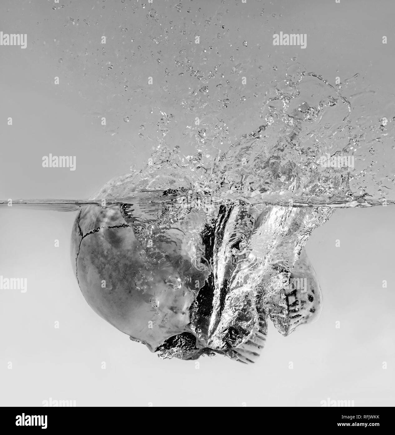 Skull floating in water Black and White Stock Photos & Images - Alamy