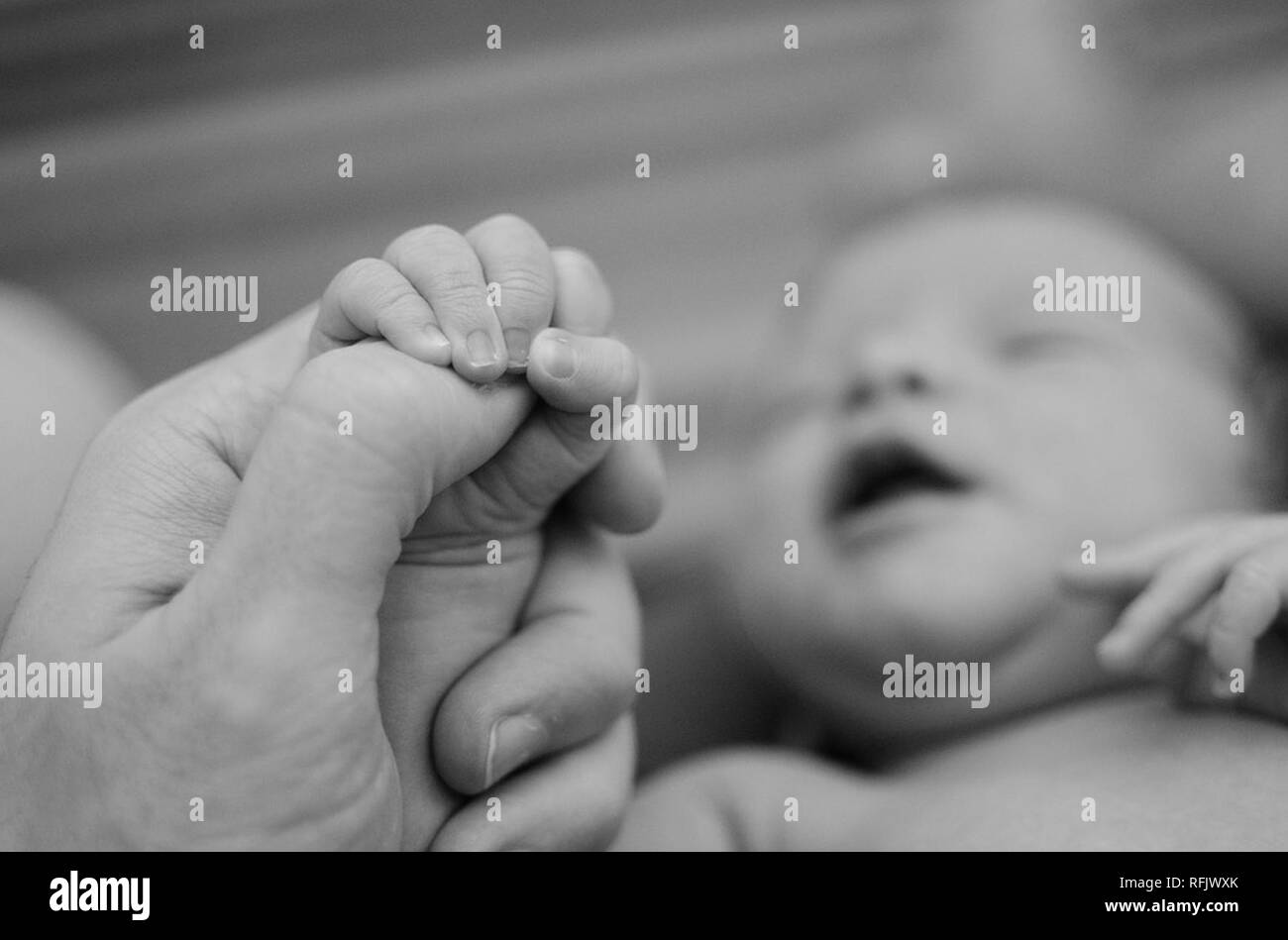 Freegreatpicture hi-res stock photography and images - Alamy