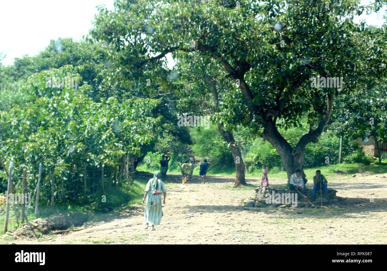 Awra amba hi-res stock photography and images - Alamy