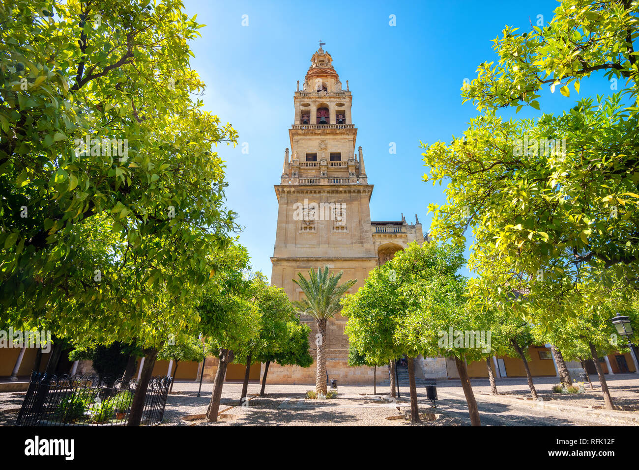 Famous bell tower La Mezquita Mosque Cathedral and courtyard in Cordoba ...