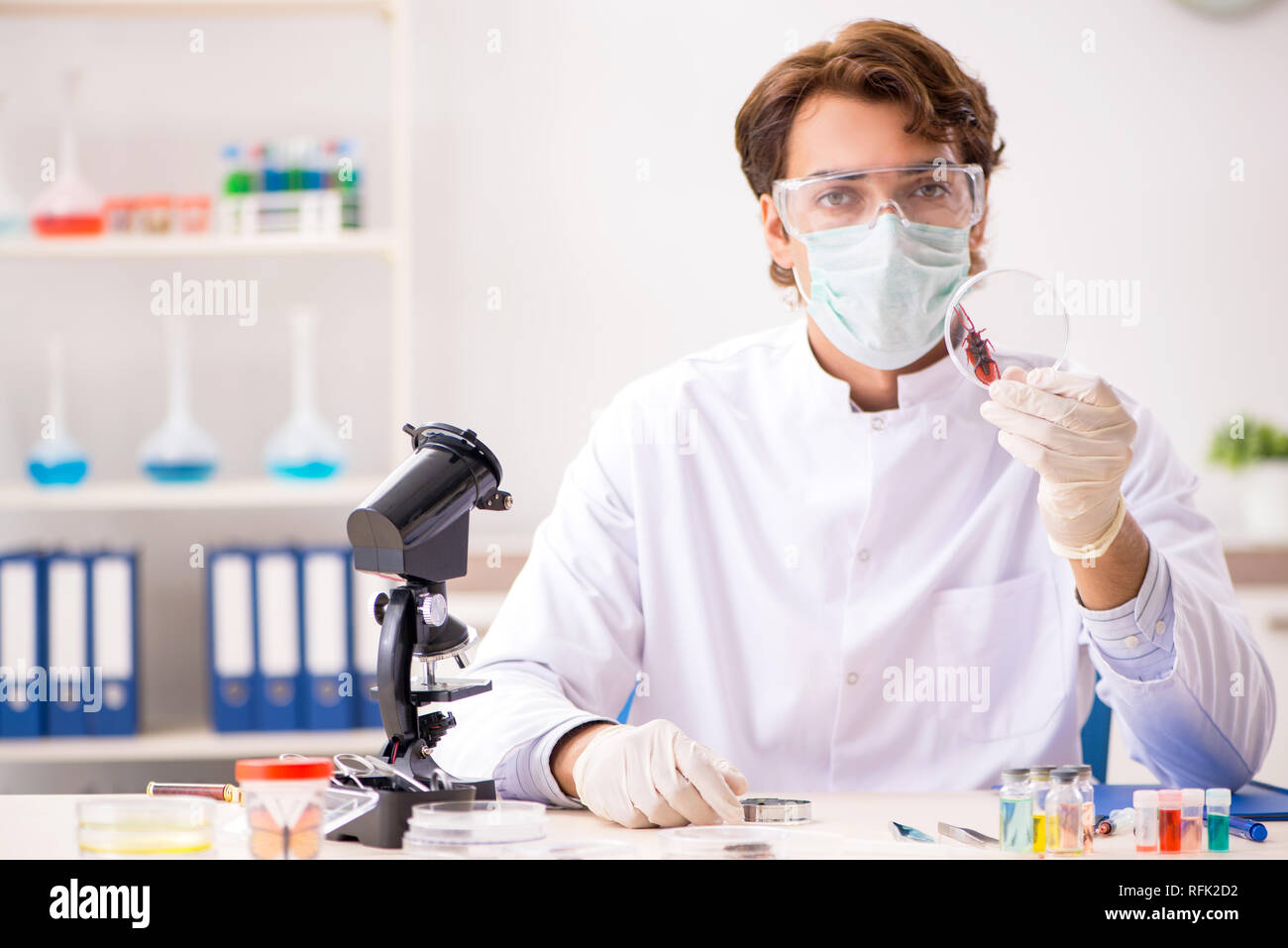 Male entomologist working in the lab on new species Stock Photo - Alamy