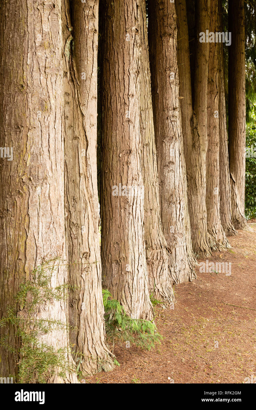 Continuity line hi-res stock photography and images - Alamy