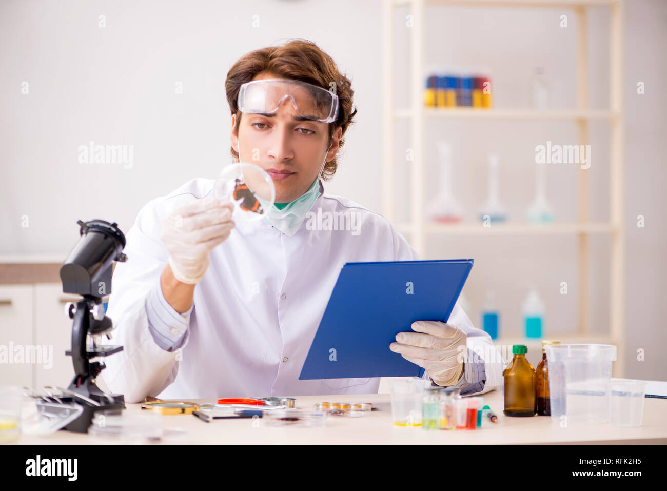 Male entomologist working in the lab on new species Stock Photo - Alamy