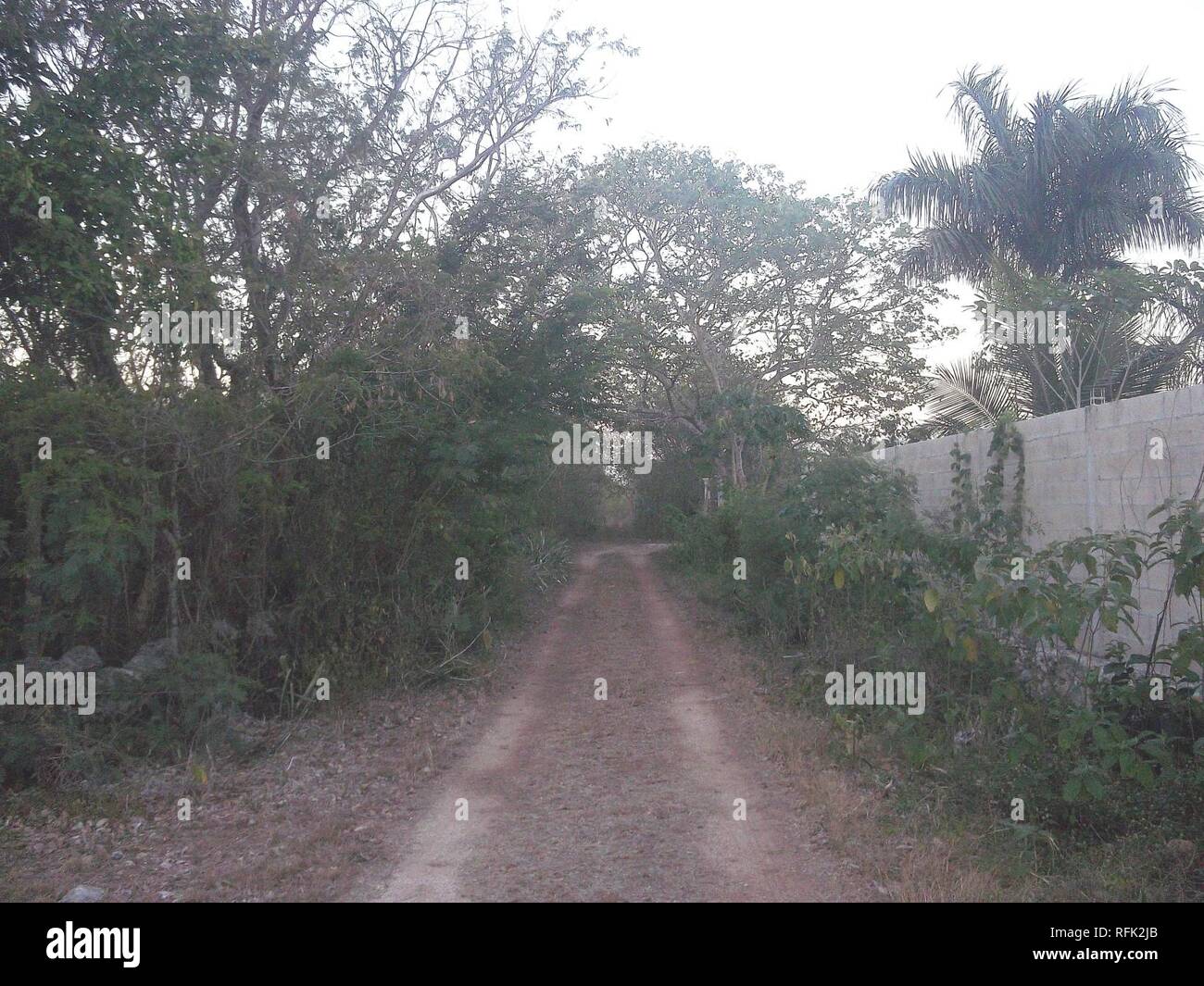 Bacne ceh hi-res stock photography and images - Alamy