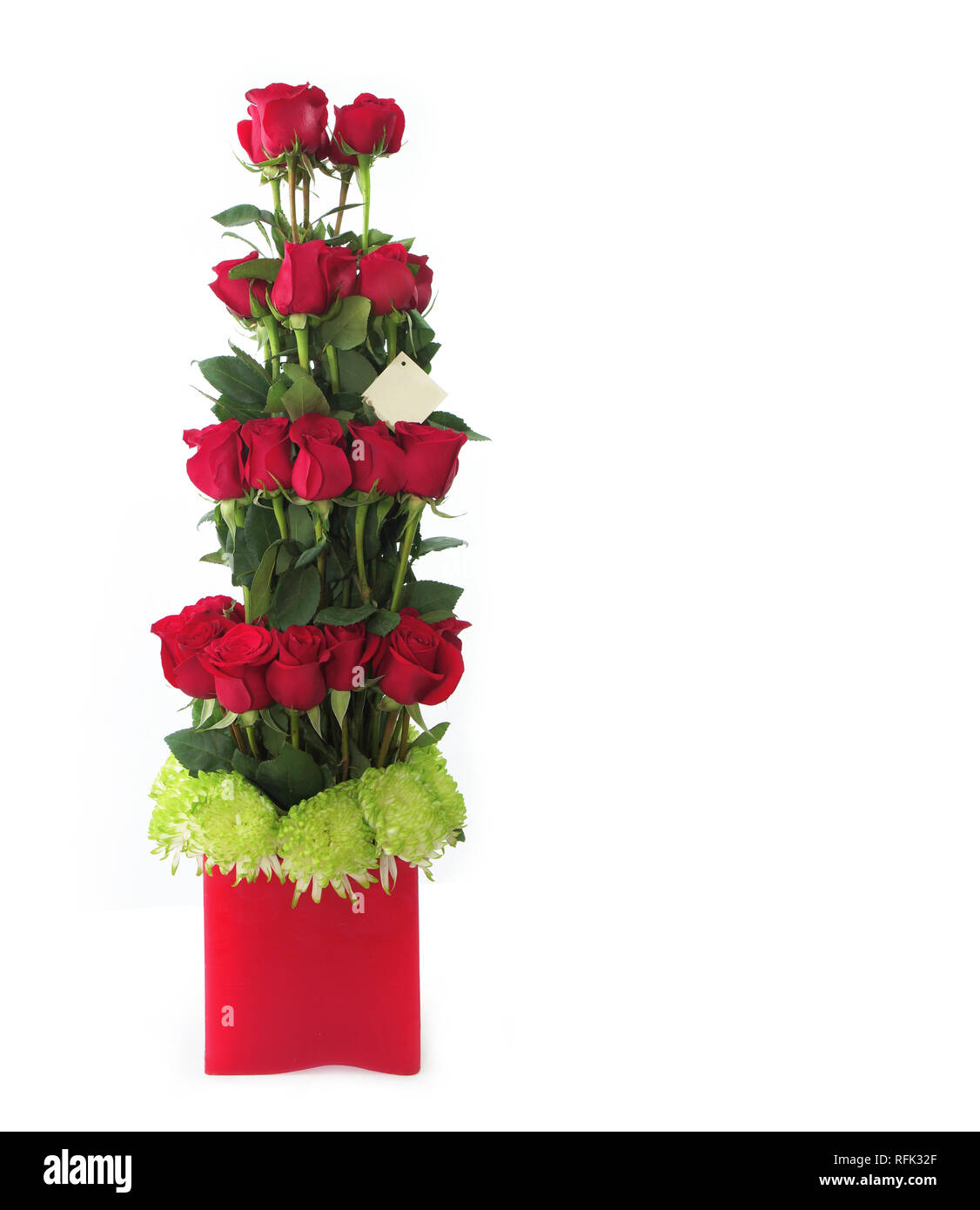 Red rose flower pot hi-res stock photography and images - Alamy