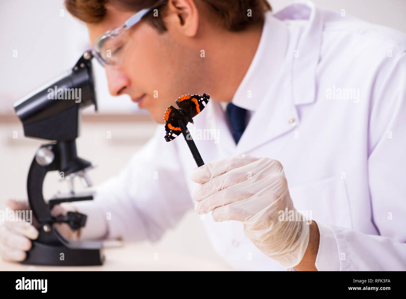 Entomologist microscope hi-res stock photography and images - Alamy