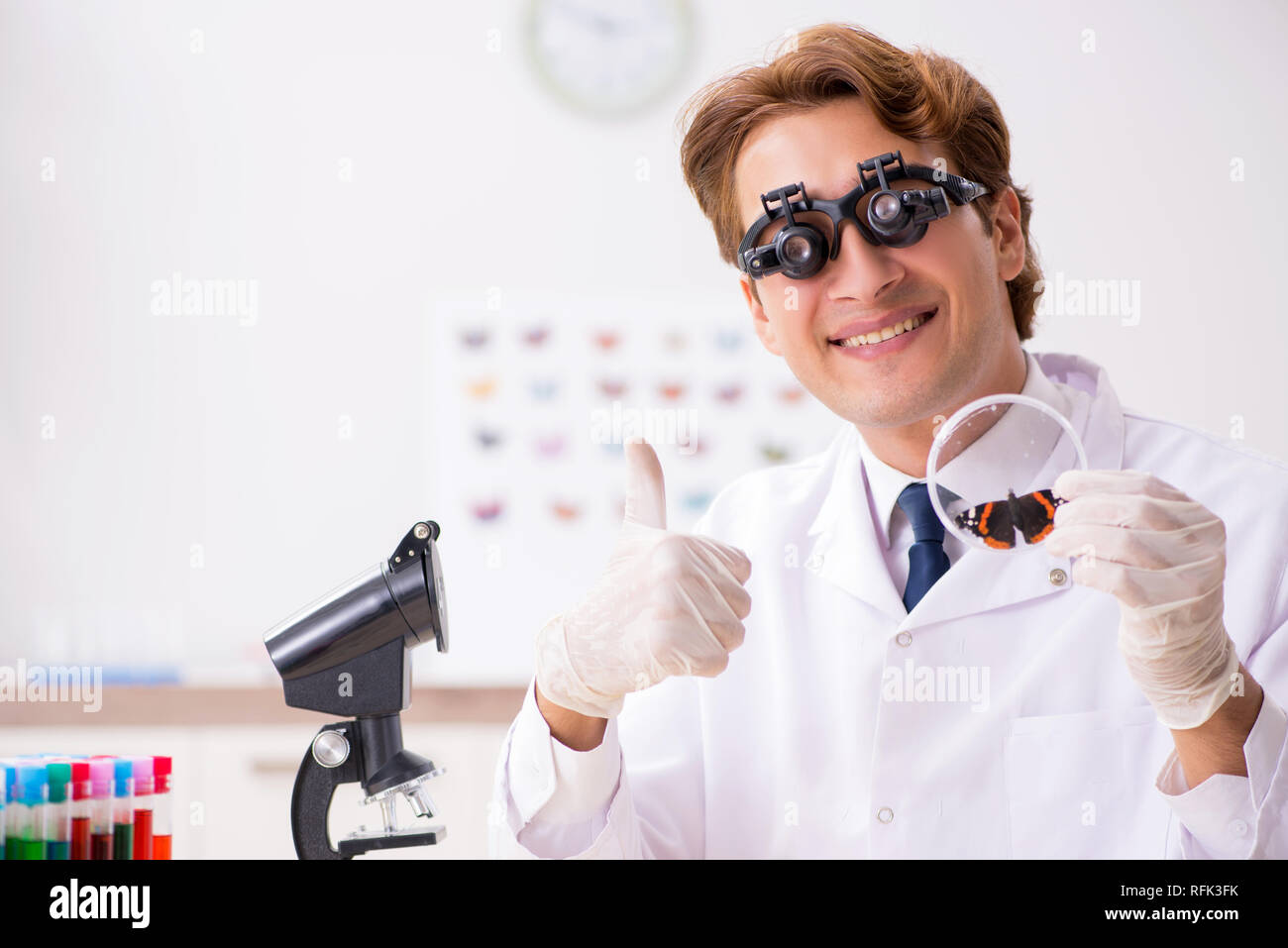 Scientist entomologist studying new butterfly species Stock Photo - Alamy
