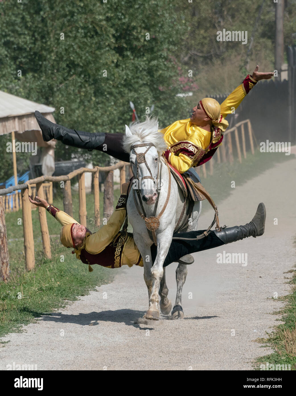 Trick Horse High Resolution Stock Photography and Images - Alamy
